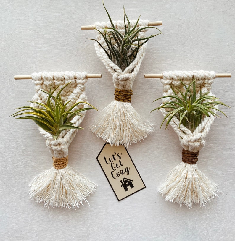 Magnetic Air Plant Holder | Etsy