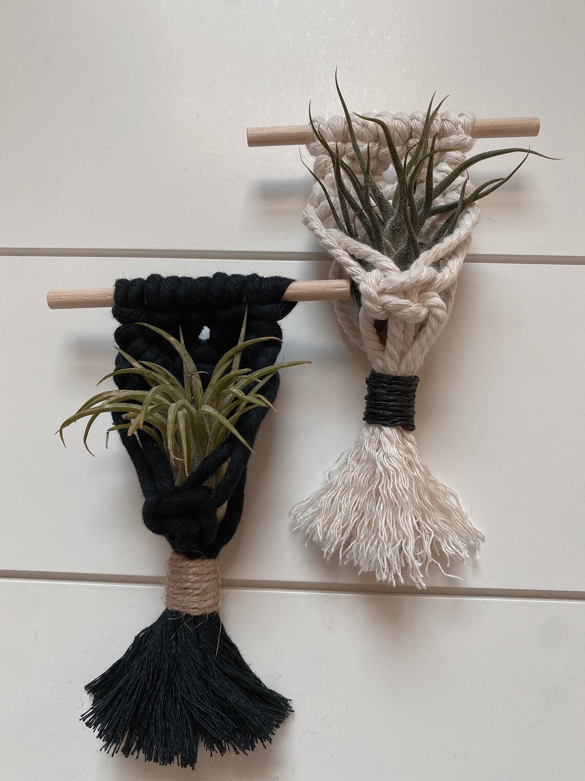 Magnetic Air Plant Holder | Etsy