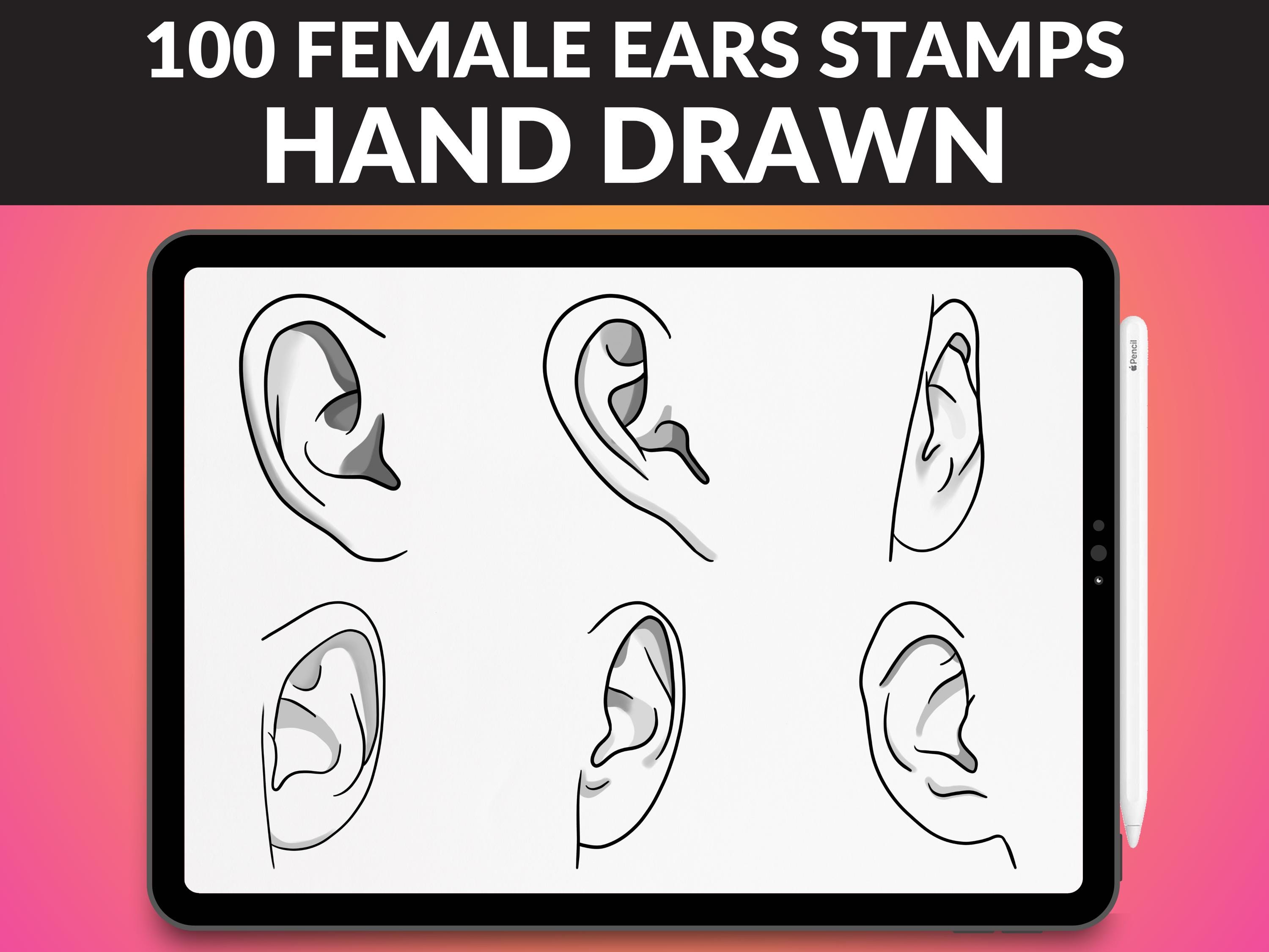 100 Procreate Ear Stamps | Realistic Ear Brush Set for Anime ...