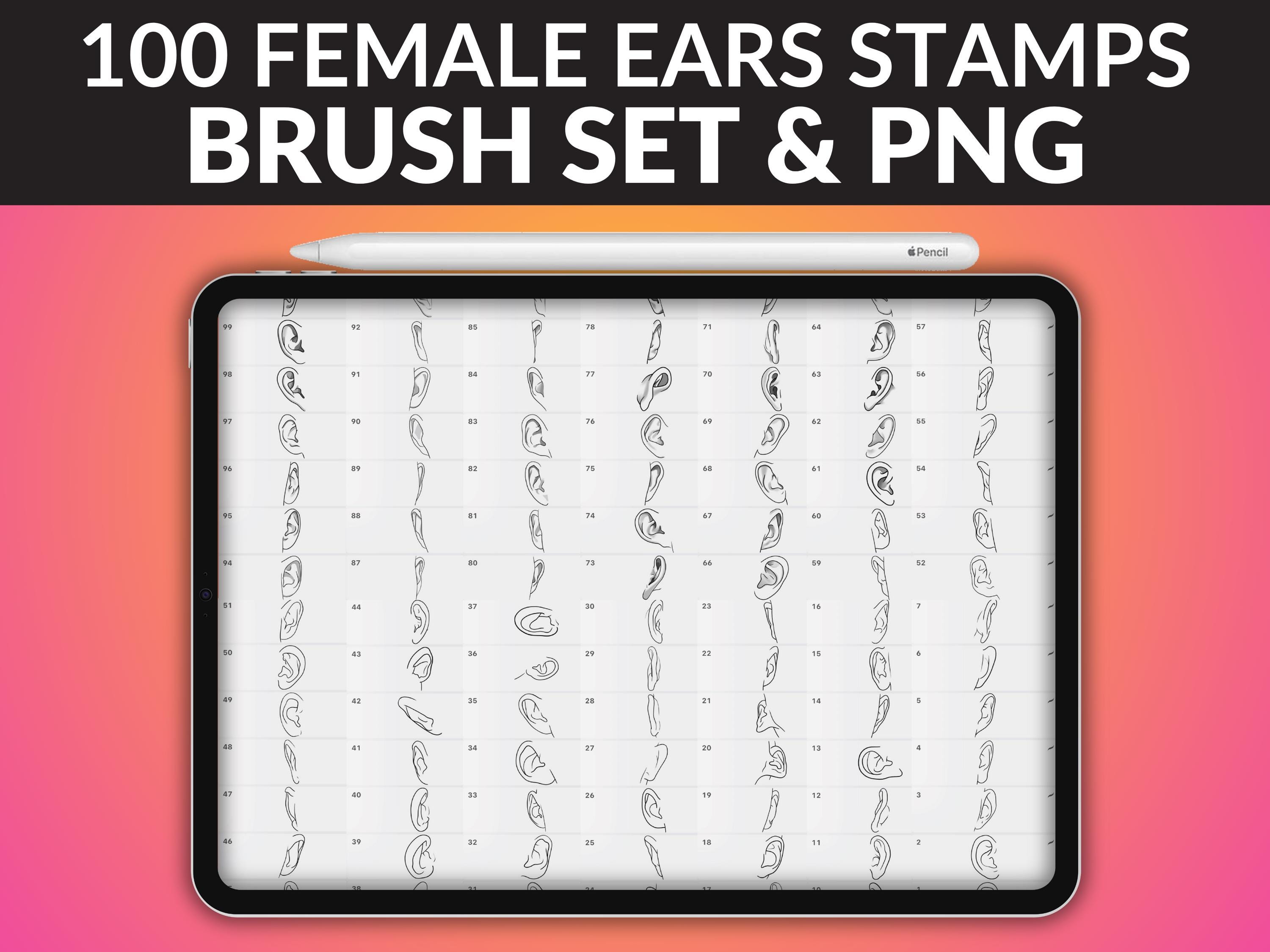 100 Procreate Ear Stamps | Realistic Ear Brush Set for Anime ...