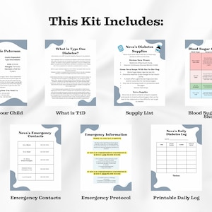 Type 1 Diabetes Care Kit: Editable T1D Action Plan (canva Template) - Etsy