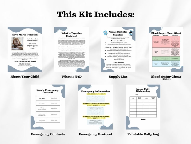 Type 1 Diabetes Care Kit: Editable T1D Action Plan (canva Template) - Etsy