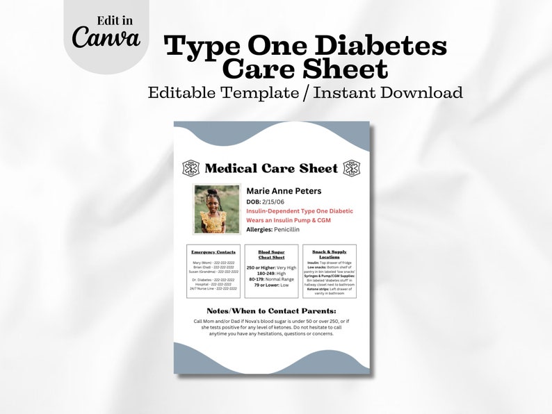 Type 1 Diabetes Care Plan: Editable Canva Template (digital Download ...