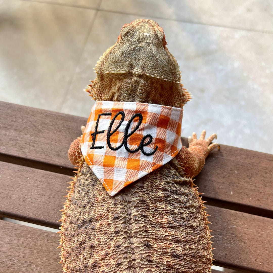 Orange Gingham Bearded Dragon Bandana, Polka Dot Beardie Scarf ...