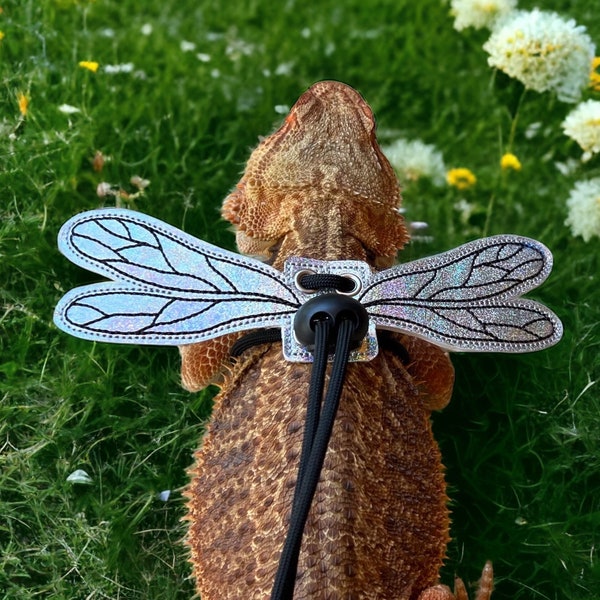 Bearded Dragon Leash - Etsy