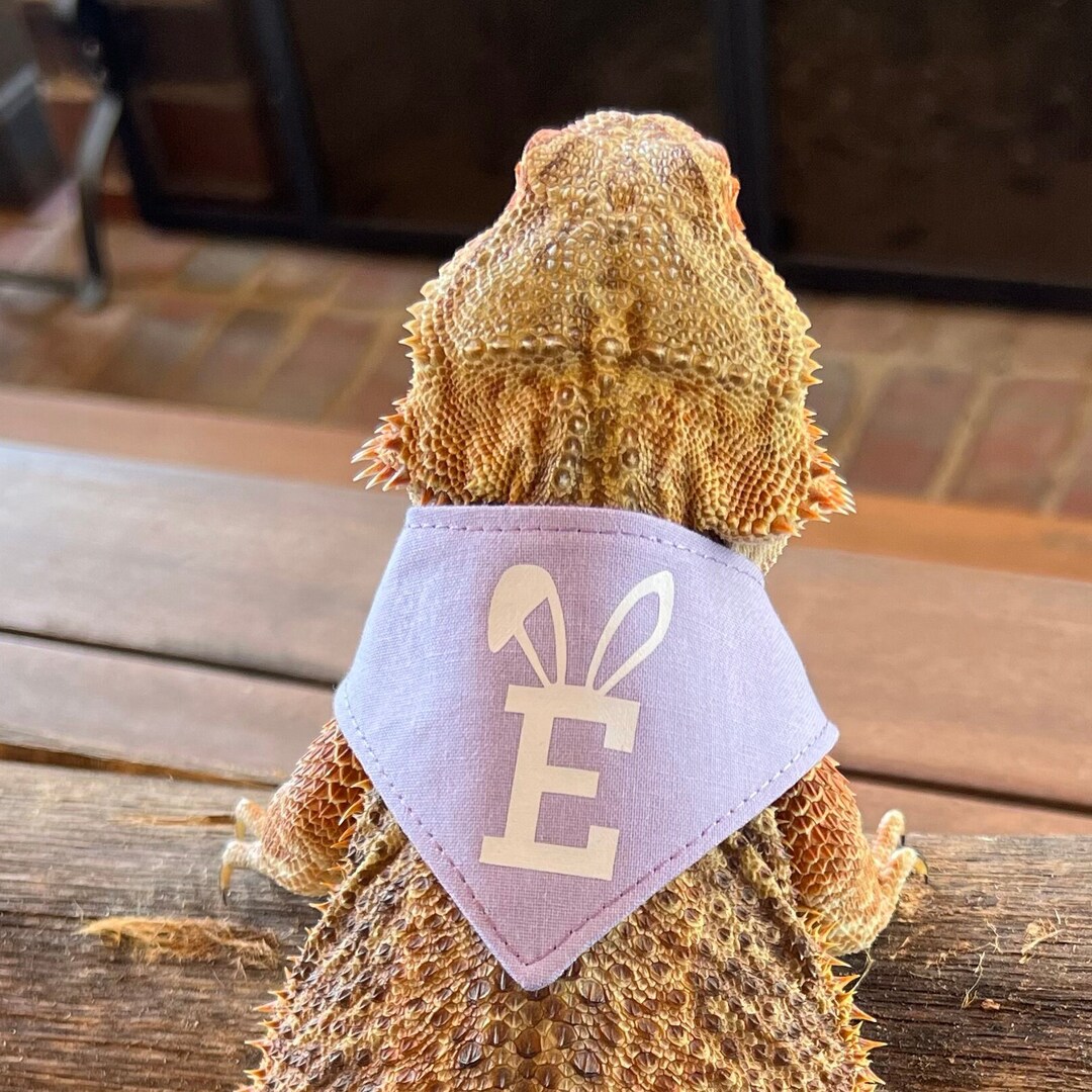 Bunny Ears Easter Bearded Dragon Bandana, Custom Initial Beardie Scarf ...