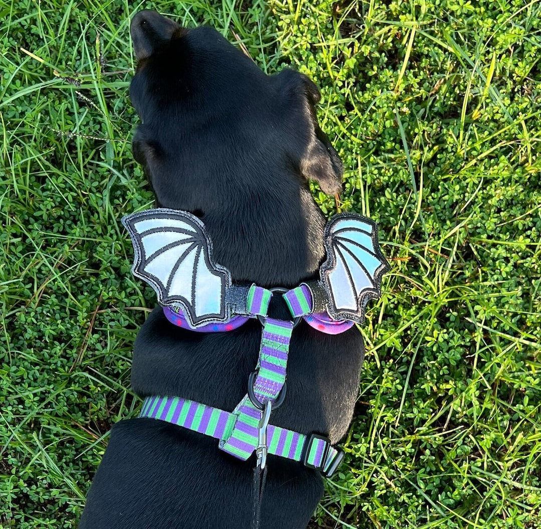 Bat Wings for Dog Pet Halloween Costume Snap on Harness - Etsy