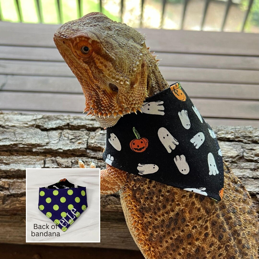 Halloween Ghost Bearded Dragon Bandana, Pumpkin Beardie Scarf, Polkadot ...