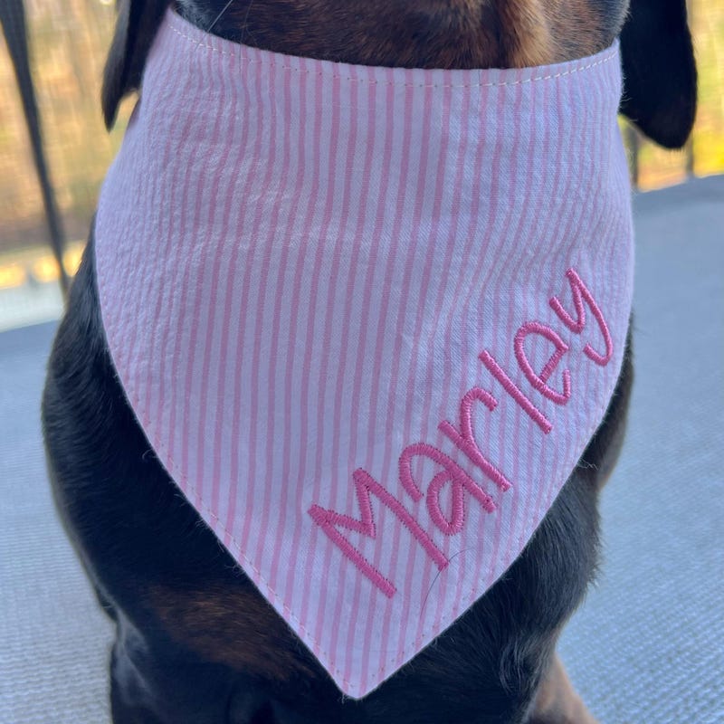 Ruffle Dog Bandana Girl - Etsy