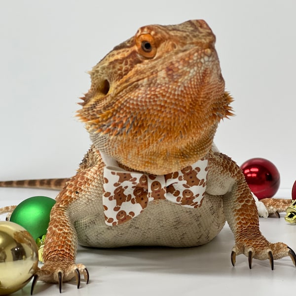 Bearded Dragon - Etsy