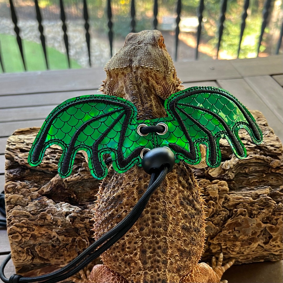 Green Dragon Scales Wing Bearded Dragon Harness and Leash, Adjustable ...