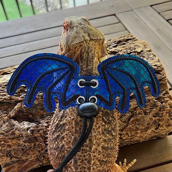 Bearded Dragon Leash - Etsy