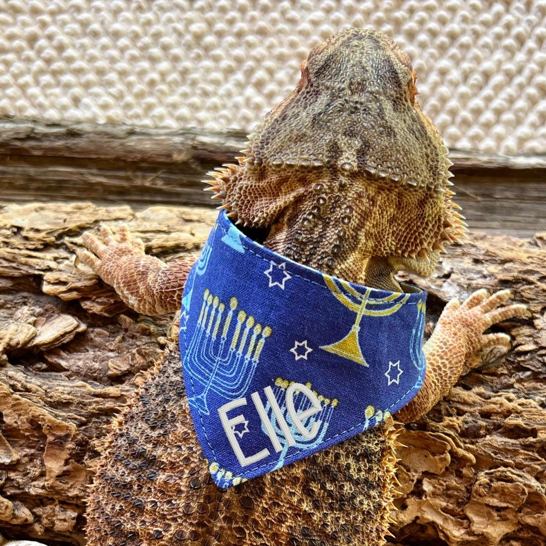 Embroidered Hanukkah Bearded Dragon Bandana, Menorah Beardie Scarf ...