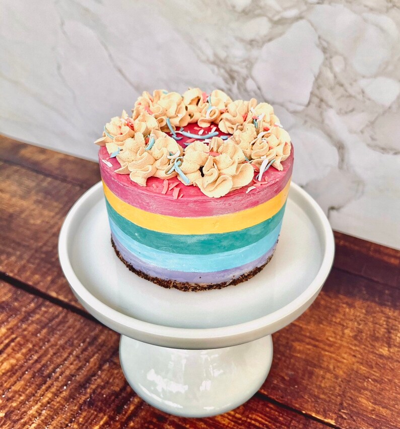 FAKE Rainbow Cheesecake, Kitchen Decor, Photo Prop - Etsy