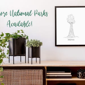 Sequoia National Park Line Art Print, Minimalist Black and White ...