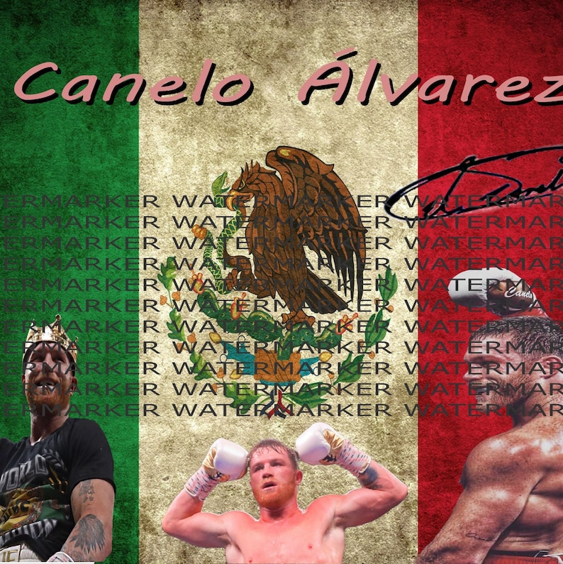 Canelo Alvarez Boxing Champion Sublimation PNG Tumbler 20 Oz - Etsy