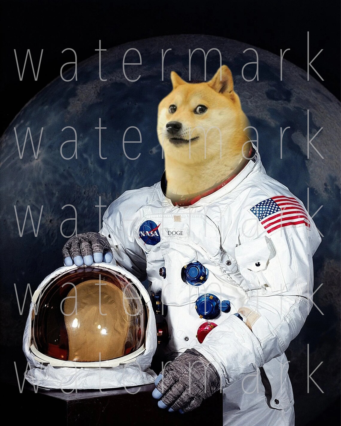 DOGE Dogecoin Coin to the moon Meme 8X10 print photo | Etsy
