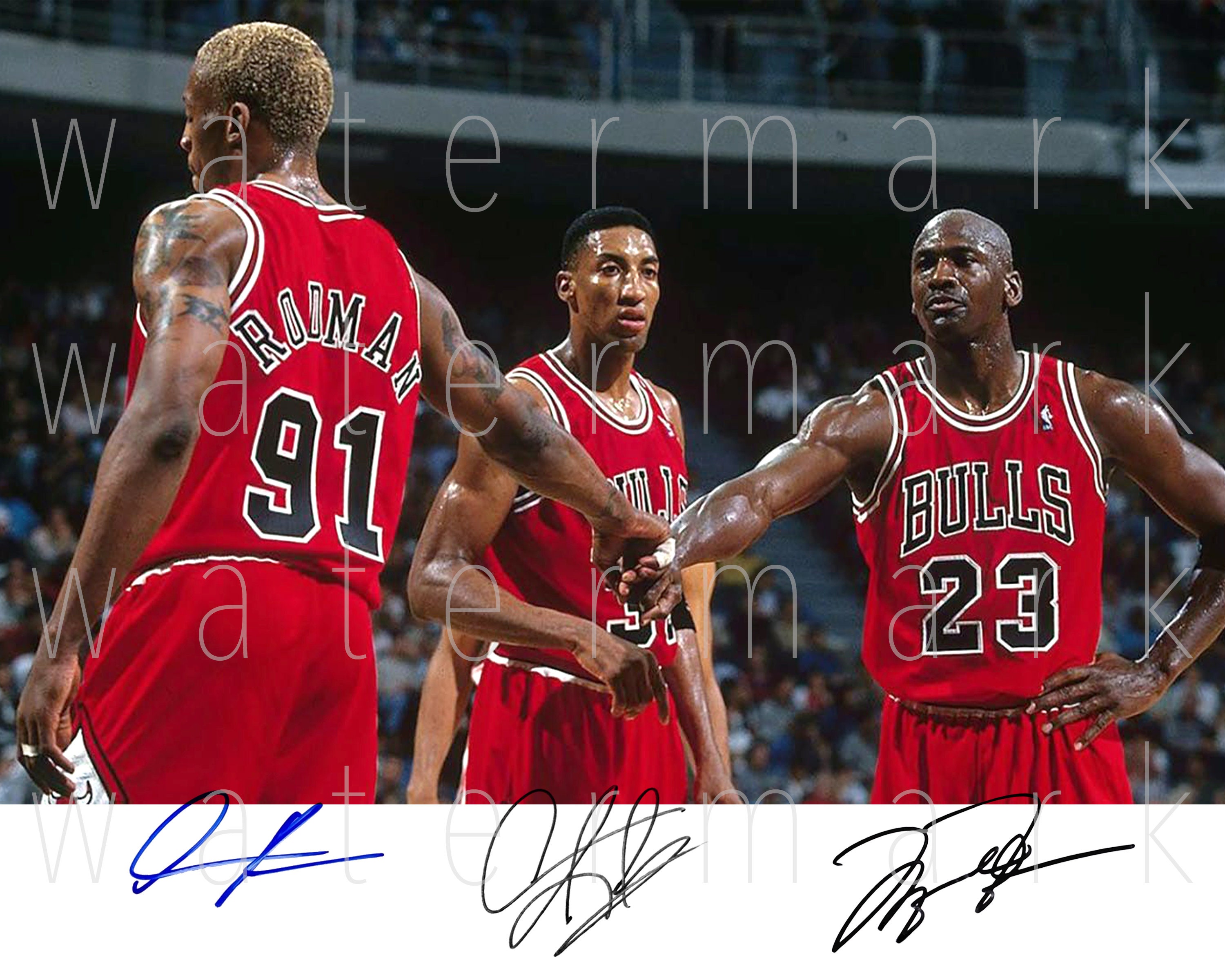 Michael Jordan Dennis Rodman Scottie Pippen Bulls signed 8X10 | Etsy