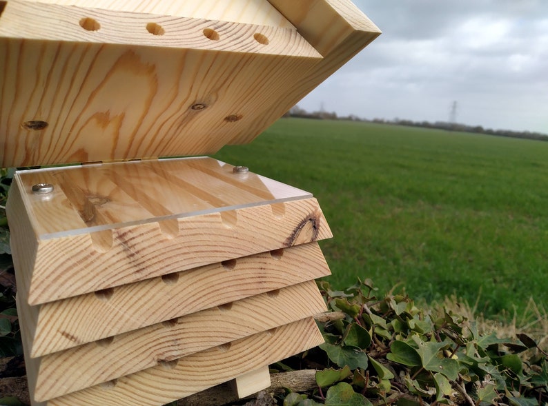 Solitary Bee Hive With Hinged Roof, Perspex Viewing Window Removable ...