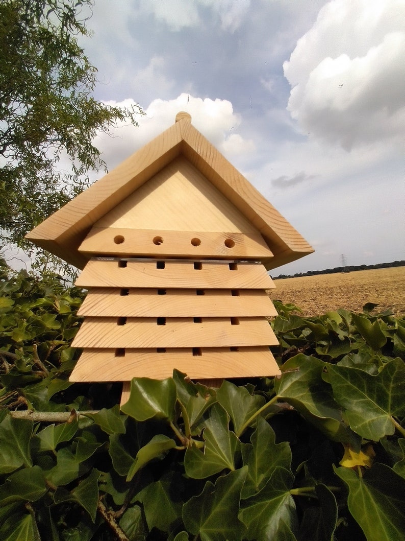 Solitary Bee Hive With Hinged Roof, Perspex Viewing Window Removable ...