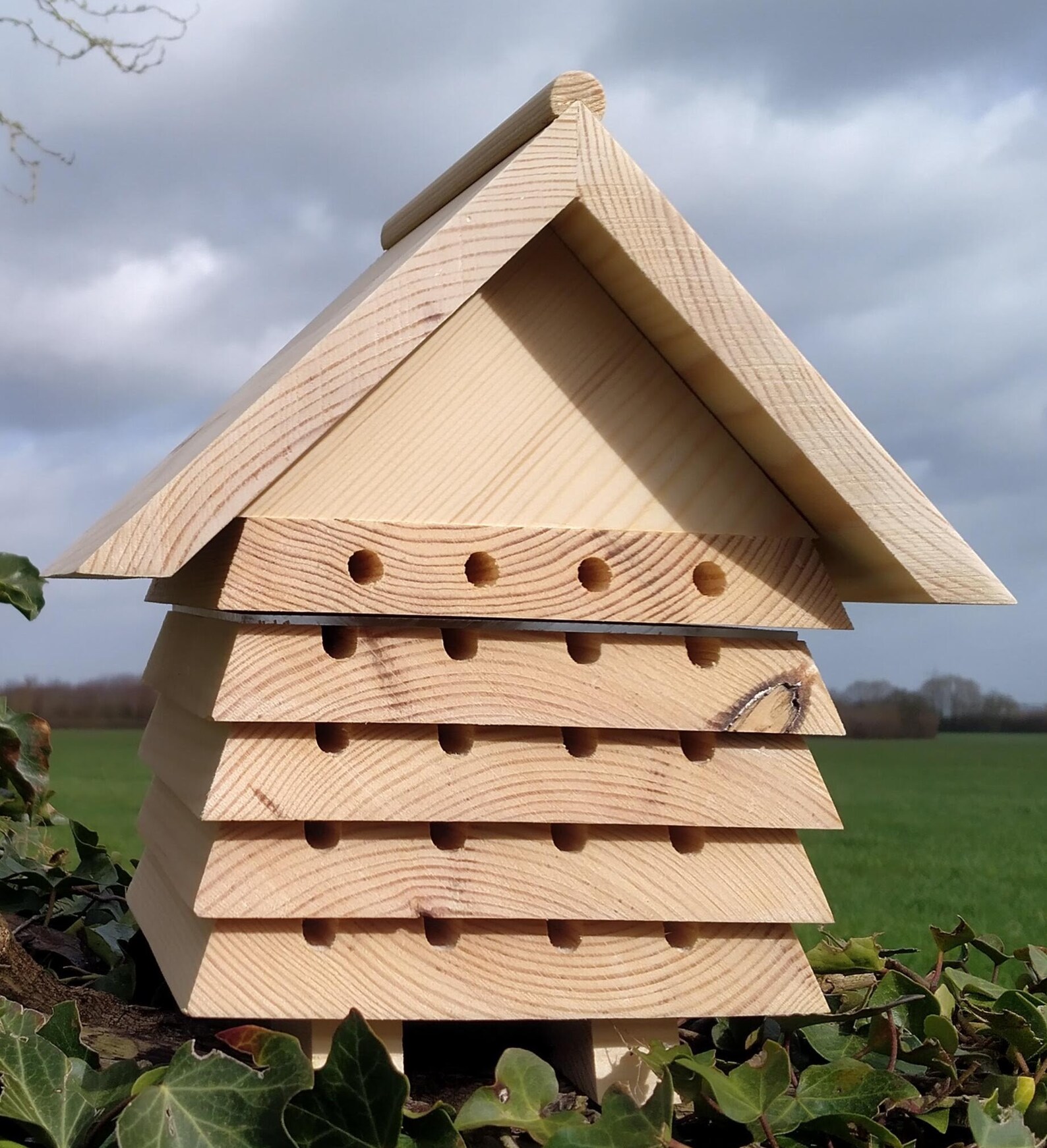 Solitary Bee Hive With Hinged Roof, Perspex Viewing Window Removable ...