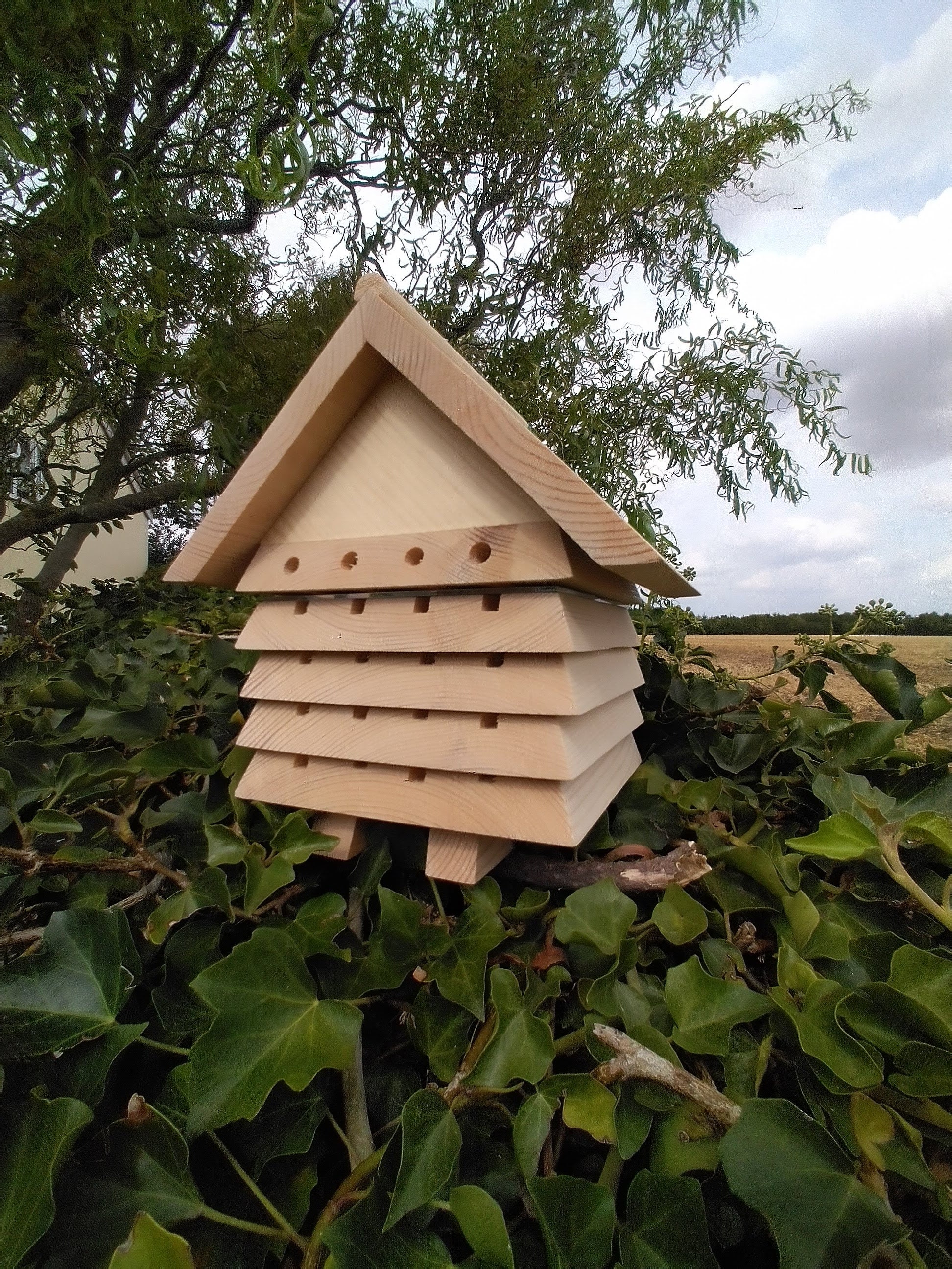 Solitary Bee Hive With Hinged Roof, Perspex Viewing Window Removable ...