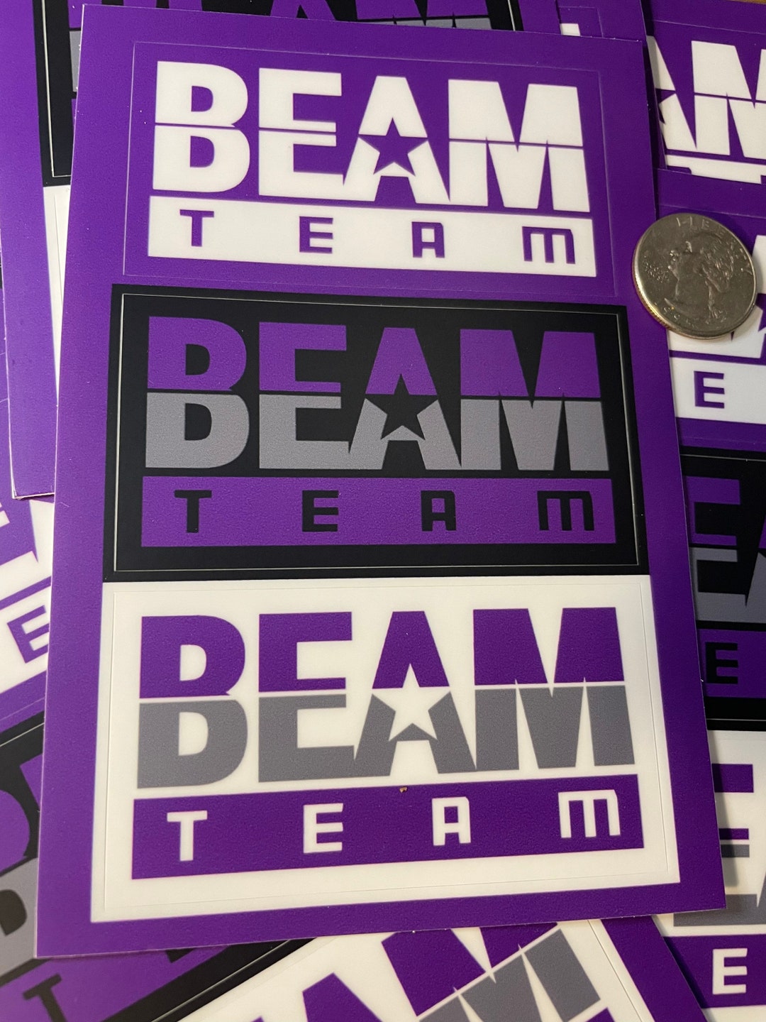 Beam Team X Light the Beam X Sacramento Kings Sticker Sheet - Etsy
