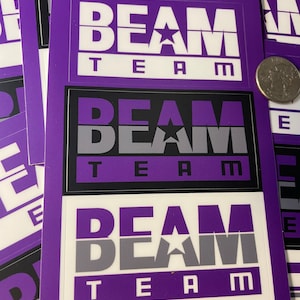 Beam Team X Light the Beam X Sacramento Kings Sticker Sheet - Etsy