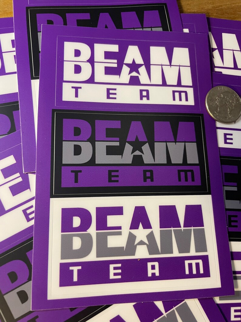 Beam Team X Light the Beam X Sacramento Kings Sticker Sheet - Etsy