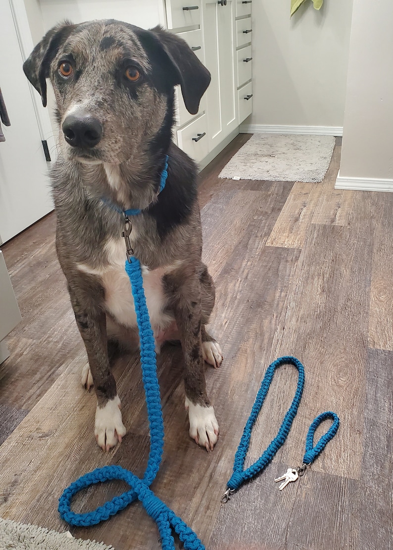 Baloo's Crochet Leash Pattern, DIGITAL PATTERN Only, Handmade Dog Leash ...