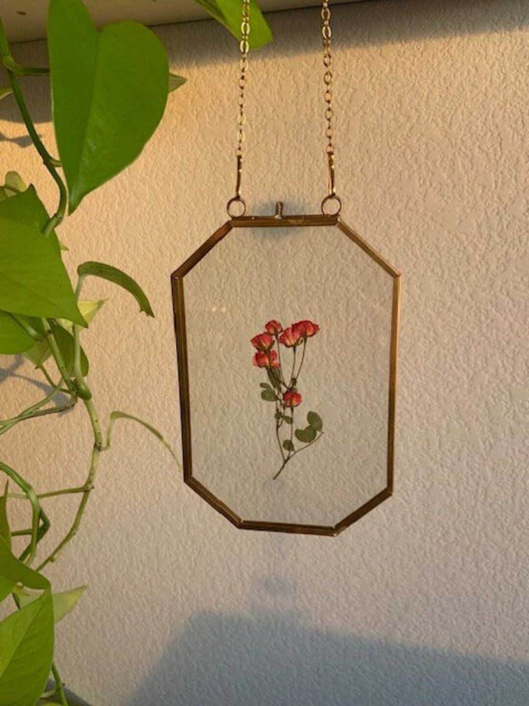 Pressed Flowers in 4x6 Gold Octagon Frame - Etsy UK