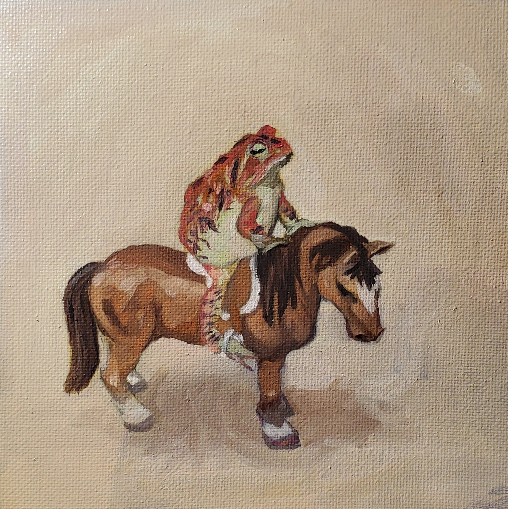 Wacky Sticker 5 Pack - Etsy