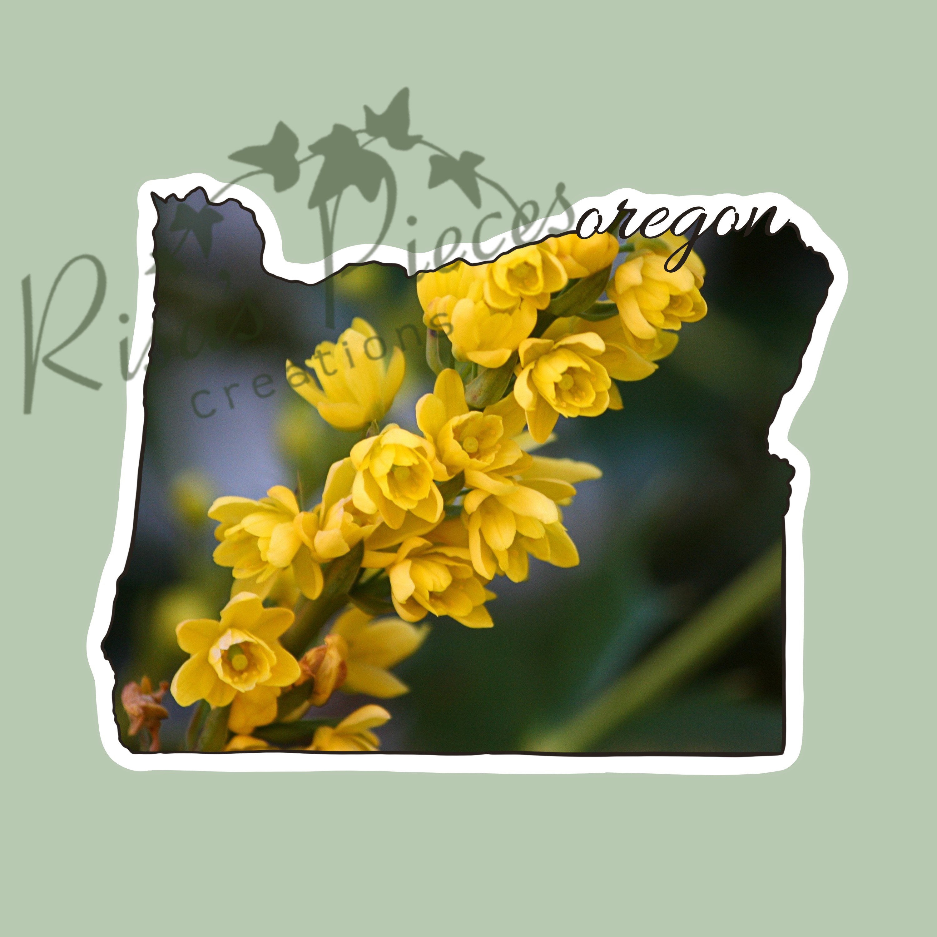 Oregon Shape Sticker Oregon State Flower Flower Stickers | Etsy