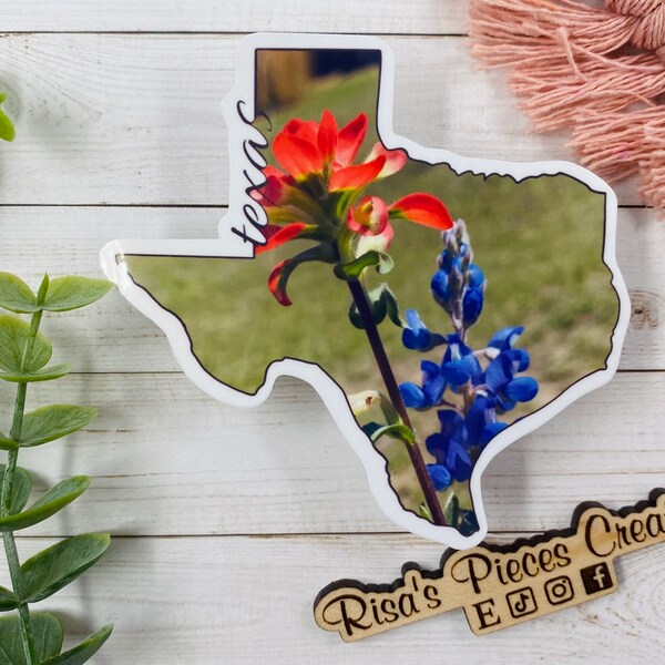 Texas Sticker - Etsy
