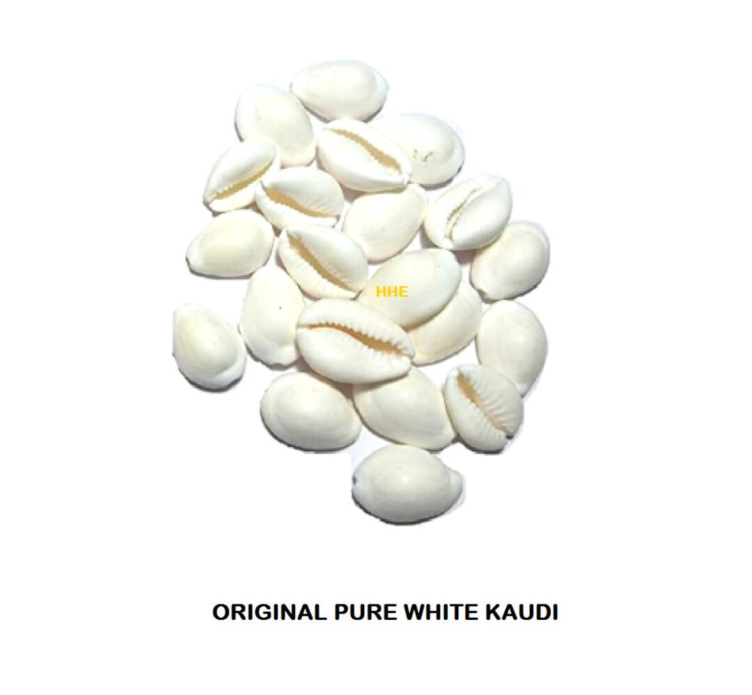 White Kaudi Safed Kaudi Laxmi Kaudi Pure White Cowrie Laxmi - Etsy Finland