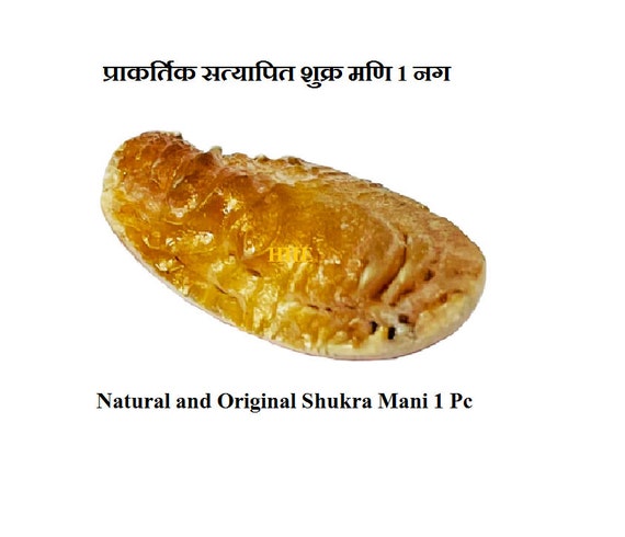 Natural Shukra Mani Shukra Pearl Shukra Stone Healing Stone - Etsy
