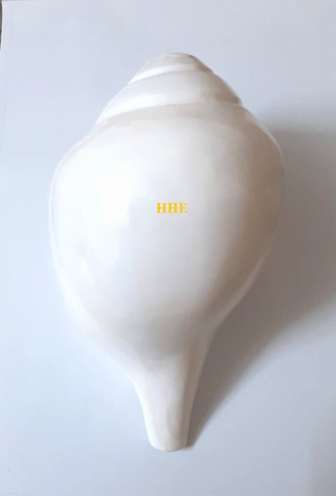 Cheapest Blowing Shankh Vamavarti Shankh for Pooja 1 Pc Super Quality ...