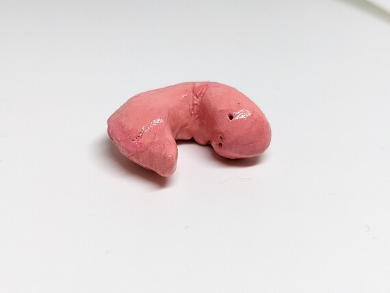 Realistic 7-9 Week Old Fetus Sculpture Realistic Clay Fetus - Etsy
