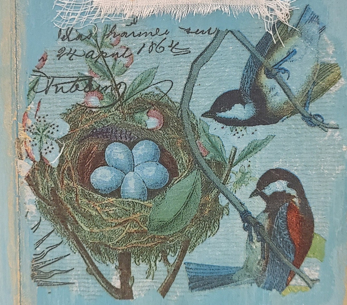 Blue Bird Shadow Box Book Blue Bird Artwork, Antique Chic Home Decor ...