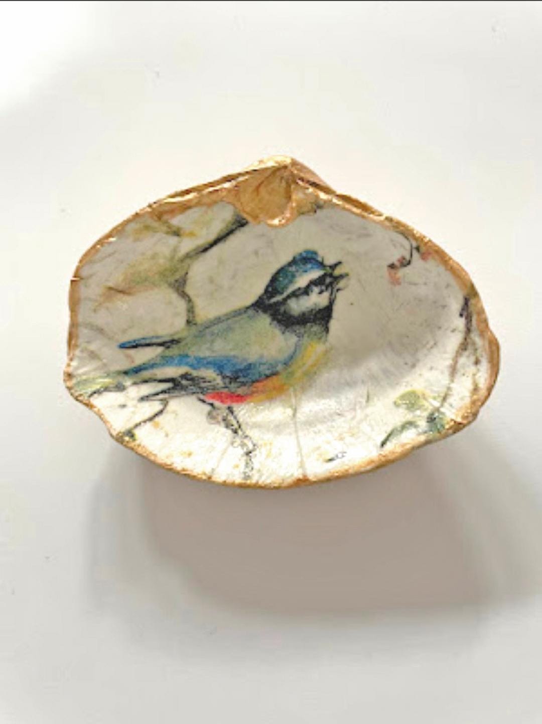 Blue Bird Seashell Jewelry Dish | Sea Shell Decoupage Ring Dish, Sea ...