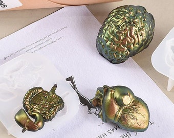 3d Organ Silicone Mold - Etsy