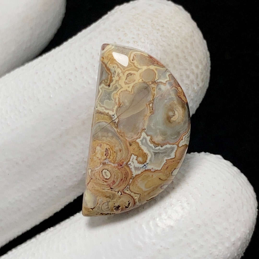 Red Tube Palm Root Fossil, Freeform Cabochon, 20x12x6 MM, 11 CTS ...