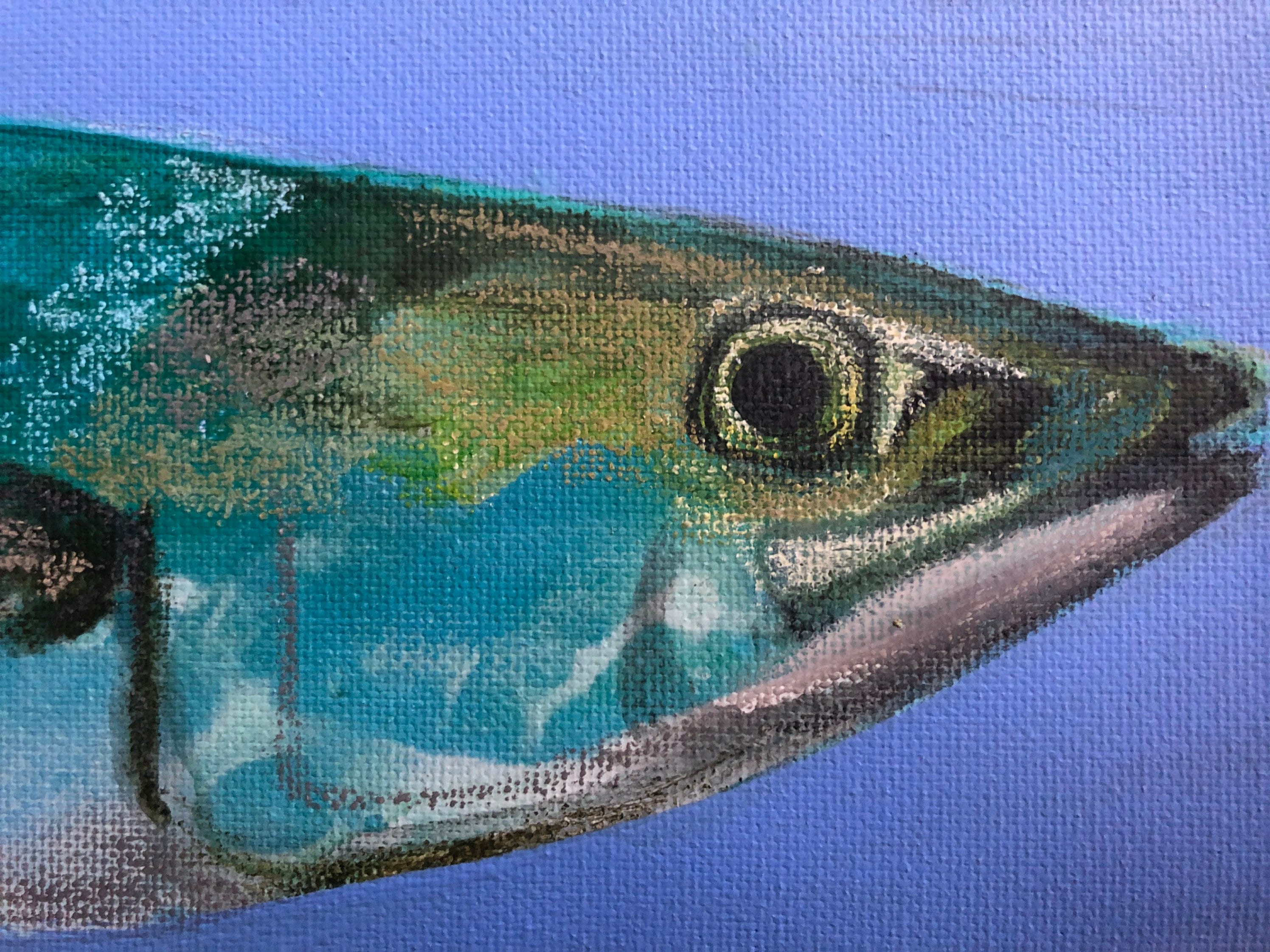 Spanish Mackerel Fish Fish Art Fish Painting Acrylic - Etsy