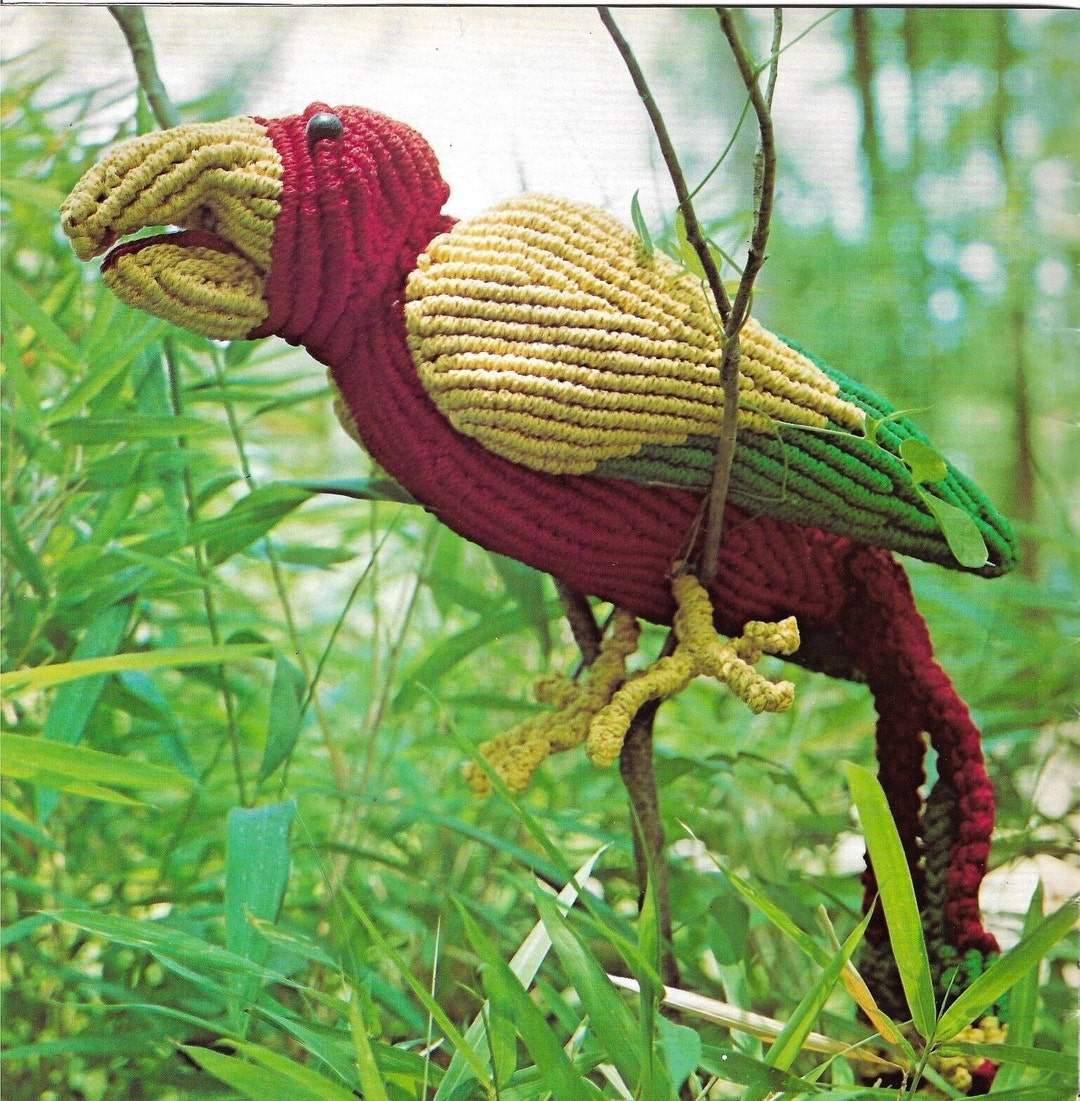 Macrame Parrot Pattern, Children's Decor, Animal Lover, Digital Pattern ...