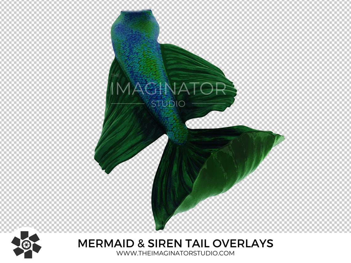 Mermaid Tail Overlays Png Mermaid Clipart For Mermaid Photography Photoshop Composites Siren