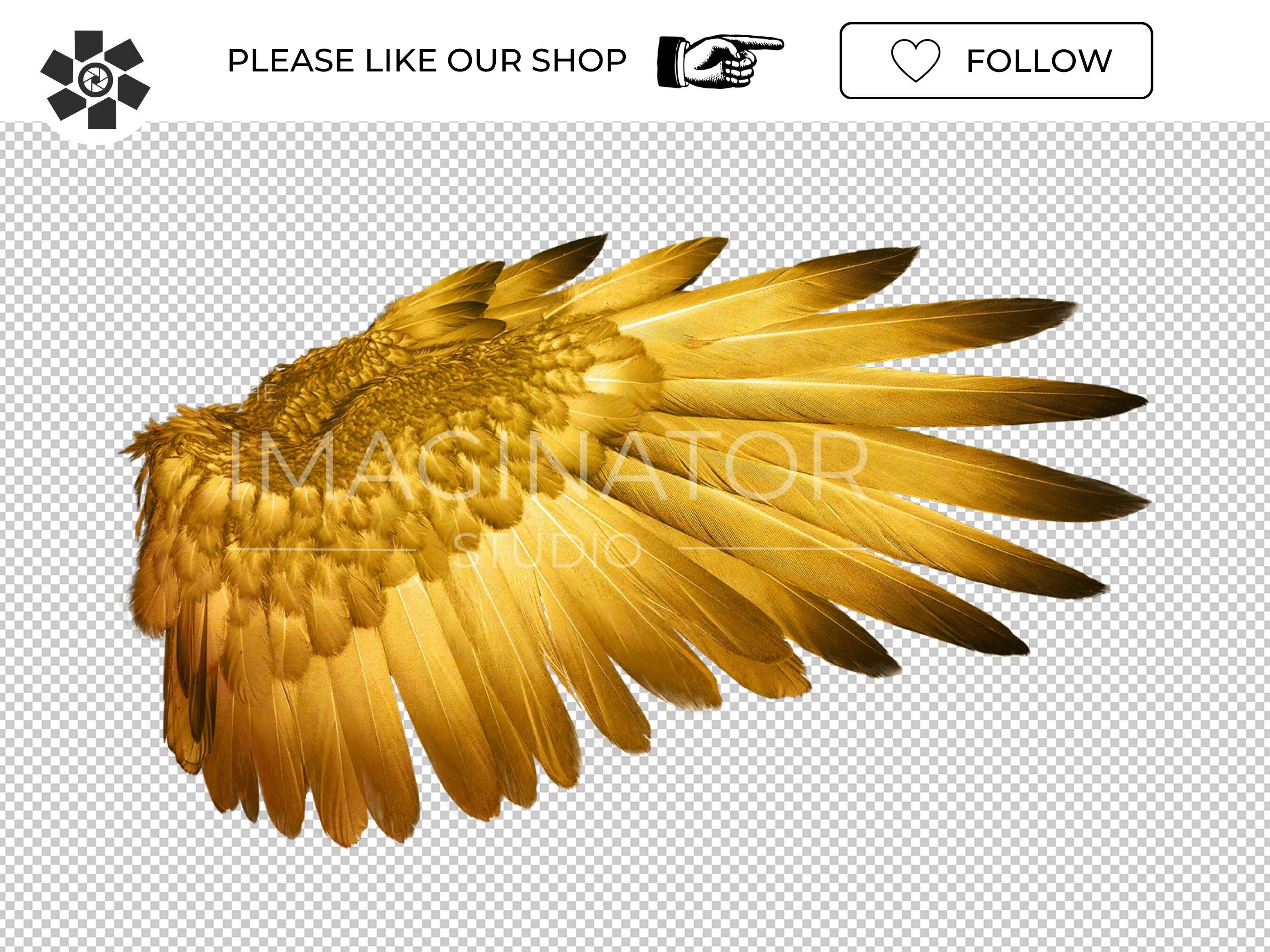 Gold Wing Overlays | Digital Wings | Gold | Eagle Wings | Photoshop ...