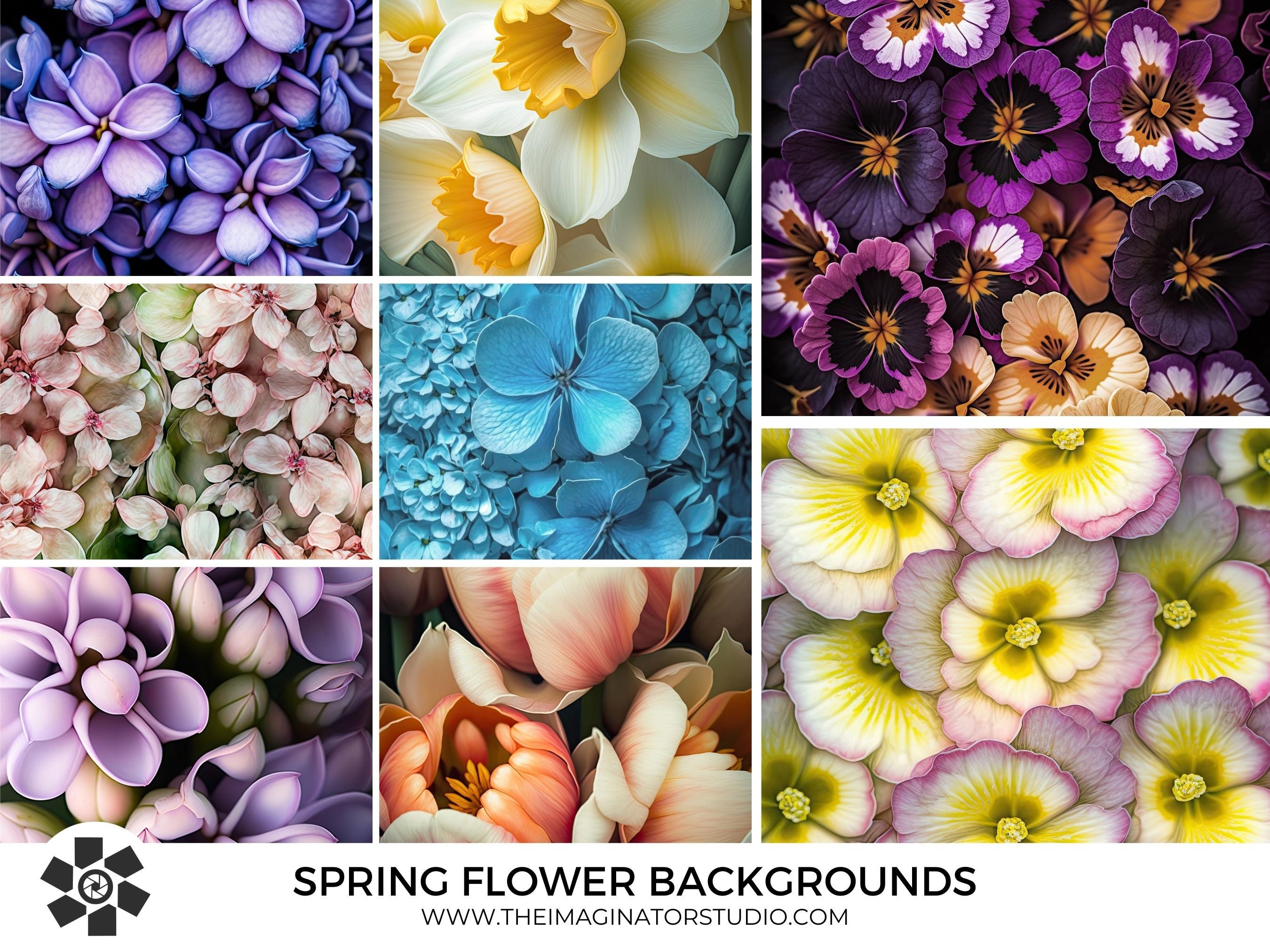 Spring Flower Backgrounds Floral Backdrops Digital Background Digital ...