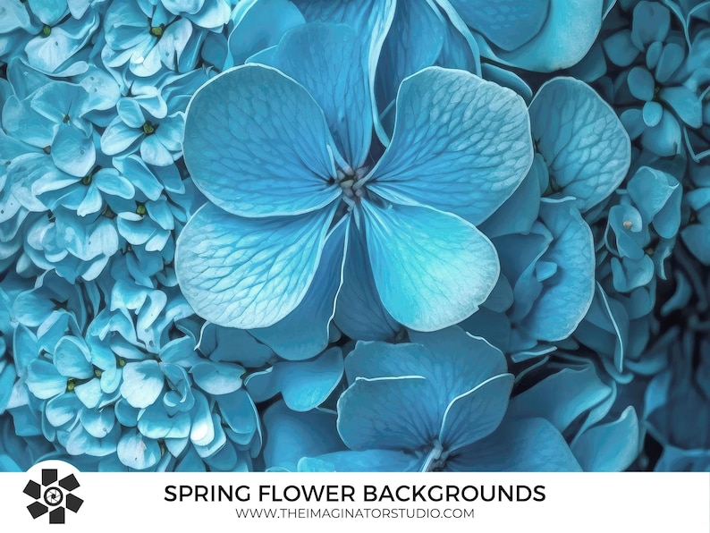 Spring Flower Backgrounds | Floral Backdrops | Digital Background ...