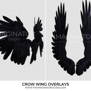 Crow Wing Overlays | Black Wings | Photoshop | Photography | Raven ...