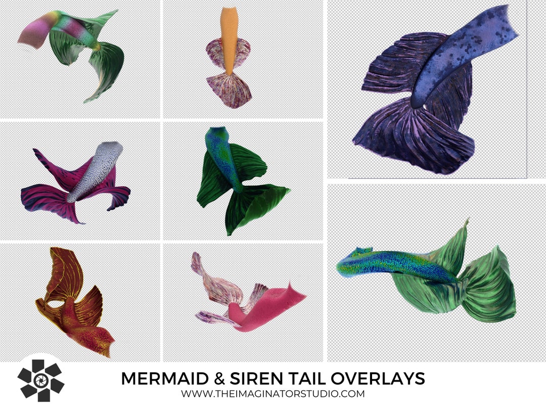 Mermaid Tail Overlays Png Mermaid Clipart For Mermaid Photography Photoshop Composites Siren